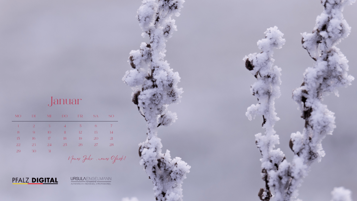 Desktopkalender - Durch das Jahr mit Pfalz Digital! - Pfalz Digital