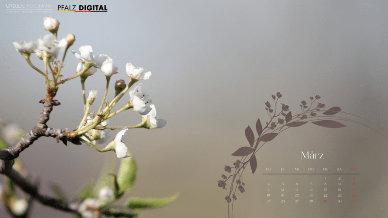 Desktopkalender - Durch das Jahr mit Pfalz Digital! - Pfalz Digital