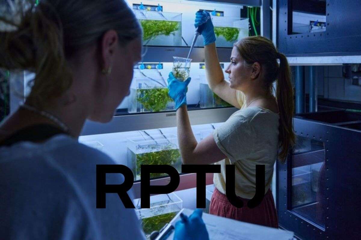 Kaiserslautern - Fachübergreifend und zukunftsfähig: Neue Studiengänge ...