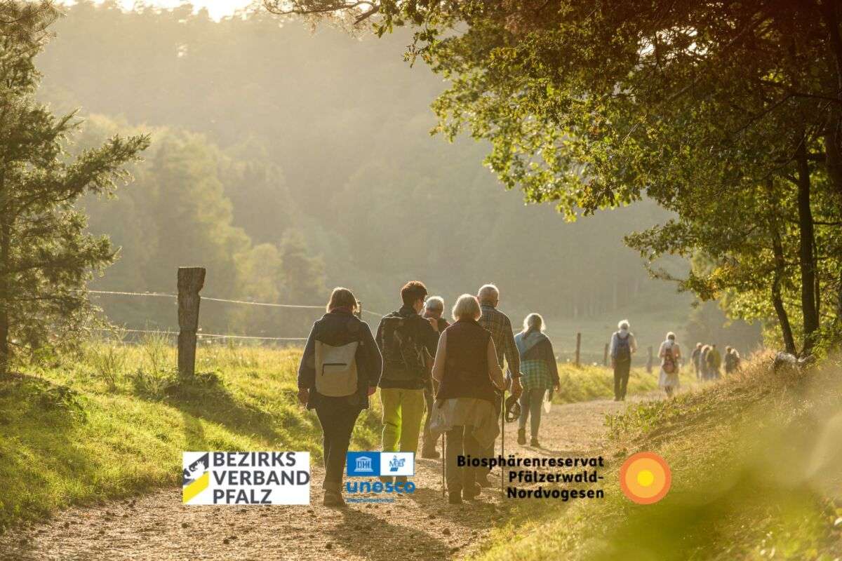 Kulturbiotop Streuobstwiese und Pfälzer (Ur-)wald? Biosphären-Guide ...