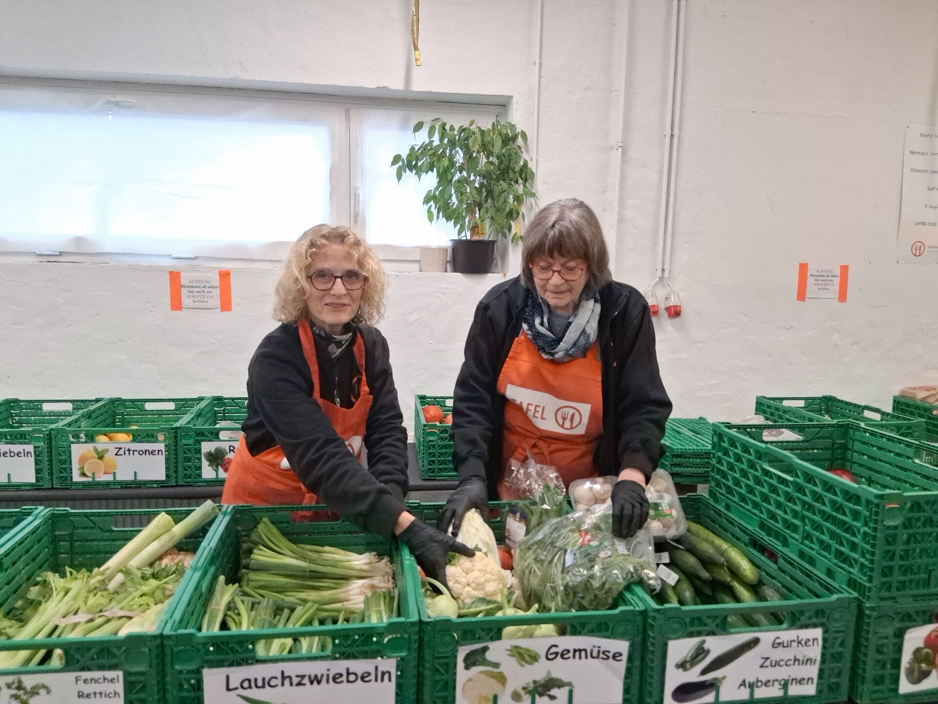 Menschen helfen Archive - Pfalz Digital